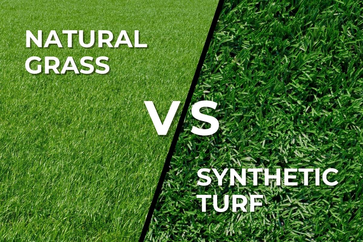 Natural Grass vs. Synthetic Turf: An Expert Comparison | Nemaha Sports ...